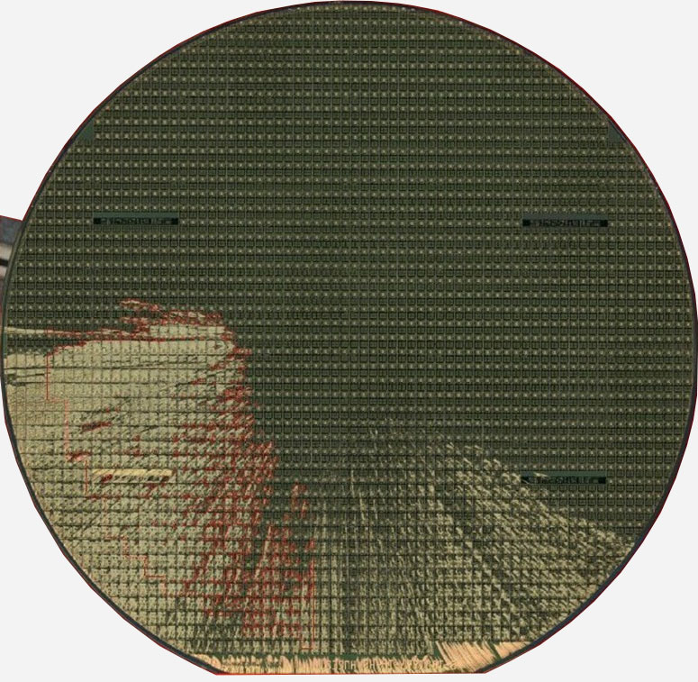 Developer Related Defects Microtronic Inc